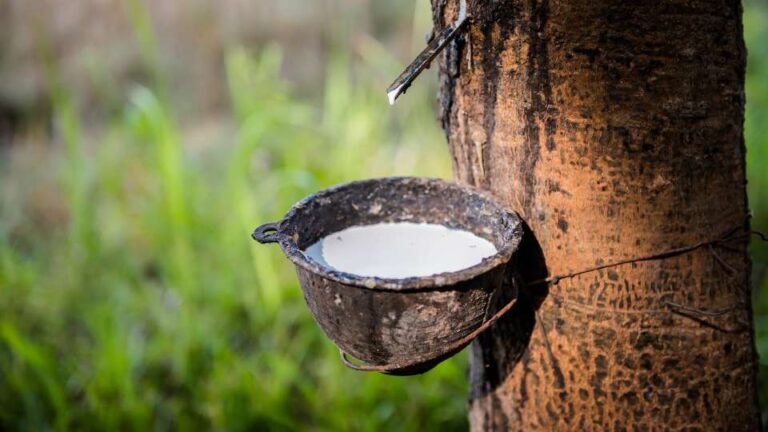 4 Key Factors for Trading INE China Rubber Futures - Orient Futures ...