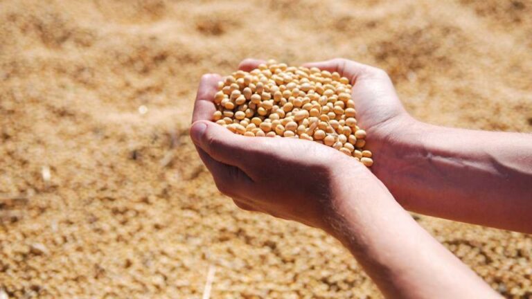 2024 Outlook: Dalian Commodity Exchange Soybean Futures - Orient Futures Singapore