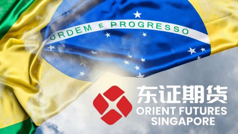 What is B3 Exchange Brazil Index 50 Futures? - Orient Futures Singapore