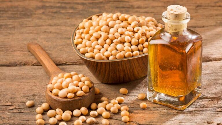 Soybean Futures: Trading Insights and Market Dynamics - Orient Futures ...